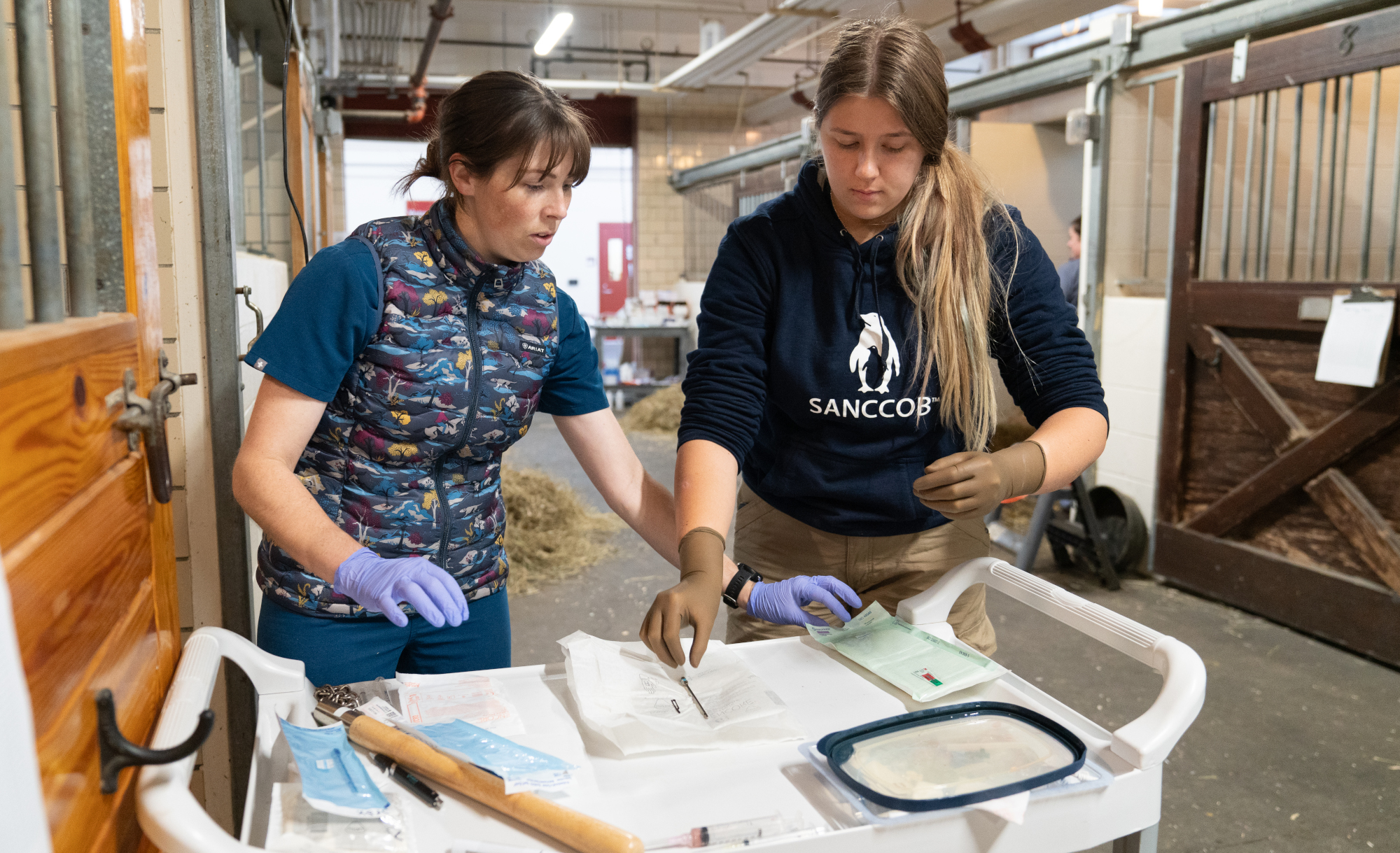 Learn | Cornell Equine | Cornell University